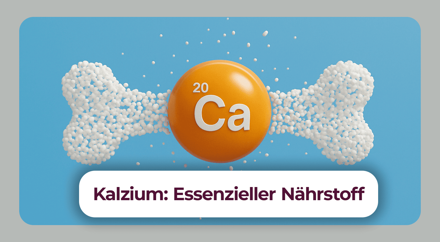 Folsäuremangel: Symptome & Behandlung | Novogenia
